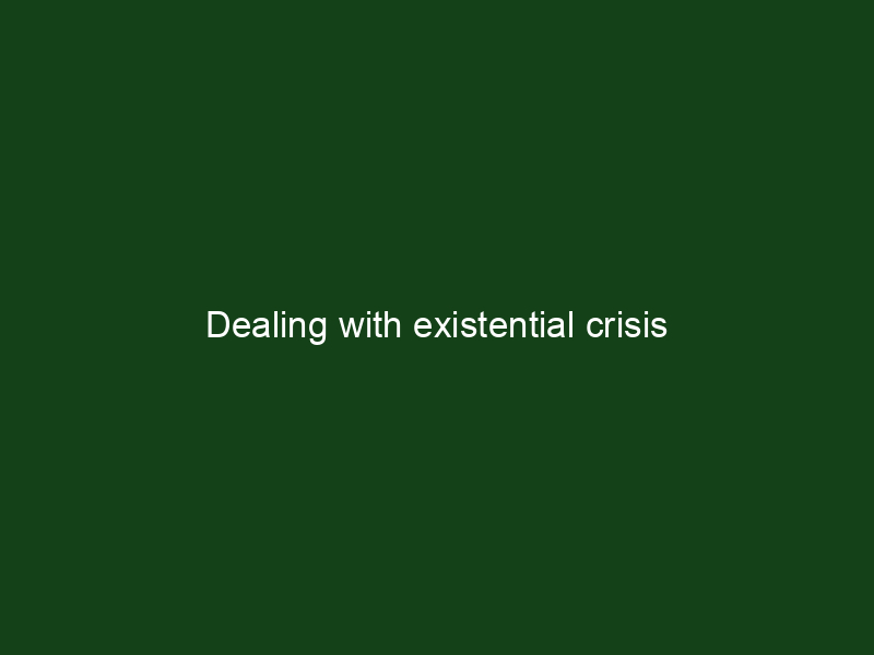 Dealing with existential crisis - Key To Study Dealing with existential crisis - Key To Study