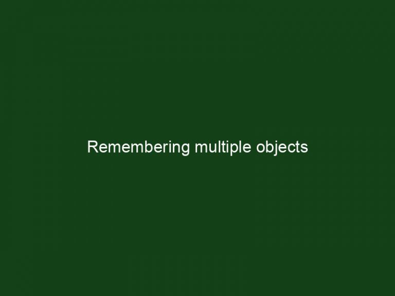 Remembering multiple objects - Key To Study